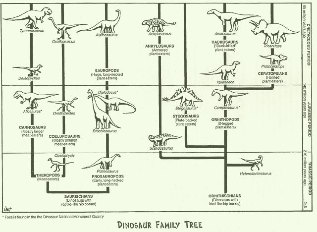 Dinosaur Classification